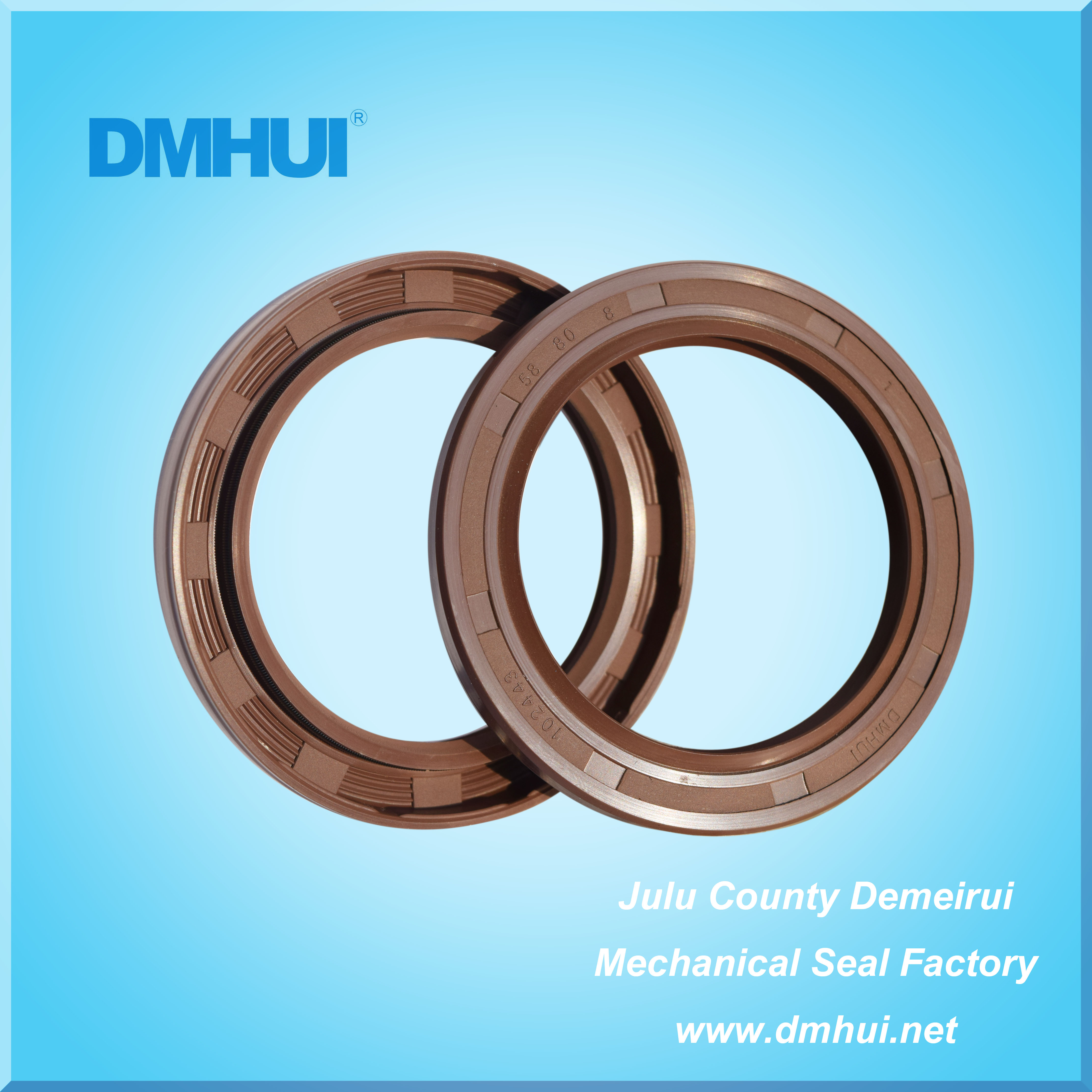 Oil-Resistant TCV High Pressure Hydraulic Seal - DMHUI Seal for ...