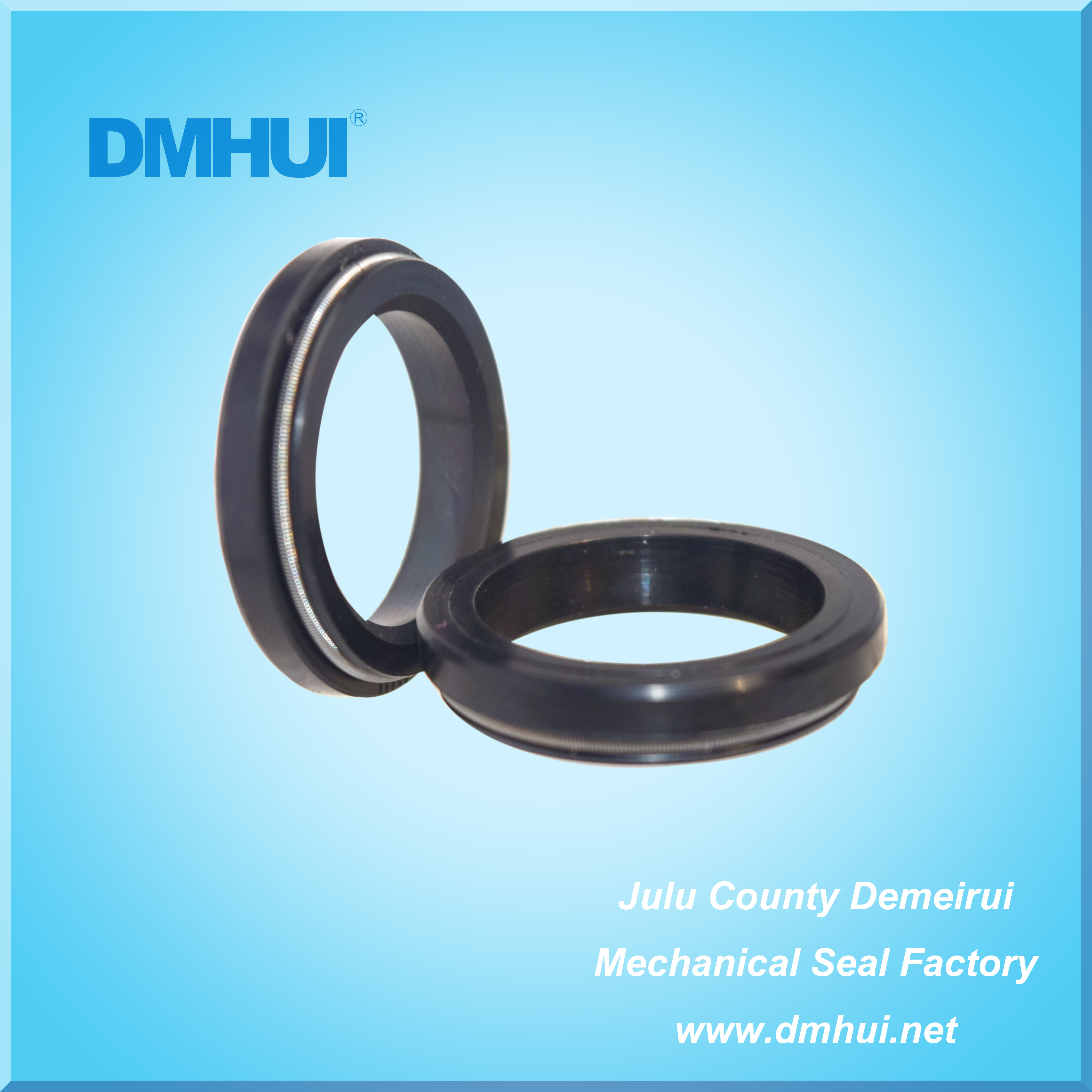 Eco-Grade High-Temp DMHUI Green Manufacturing Viton TCV Seal | High ...