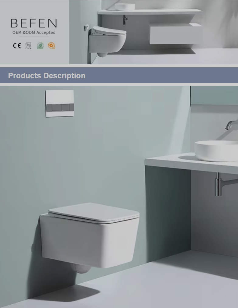 Wall-Hung Toilet 2467D - Eco-Friendly and High Performance