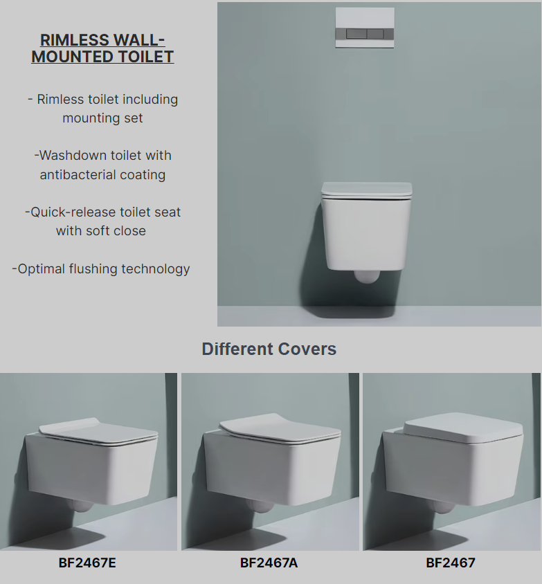 Wall-Hung Toilet 2467D - Eco-Friendly and High Performance