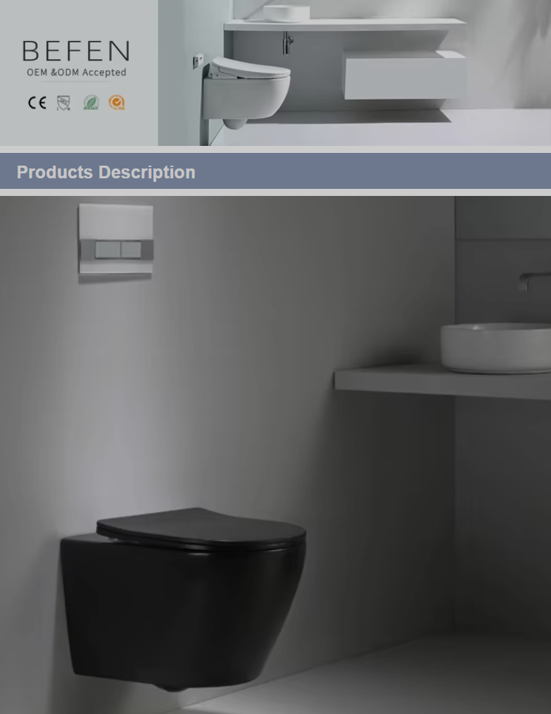 Matte Black Wall-Hung Toilet | Eco-Friendly Dual Flush Ceramic WC