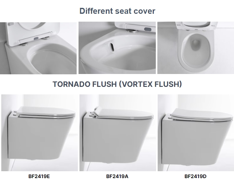 Modern Wall Hung Toilet 2419E - Silent Flush, Space-Saving & Minimalist ...