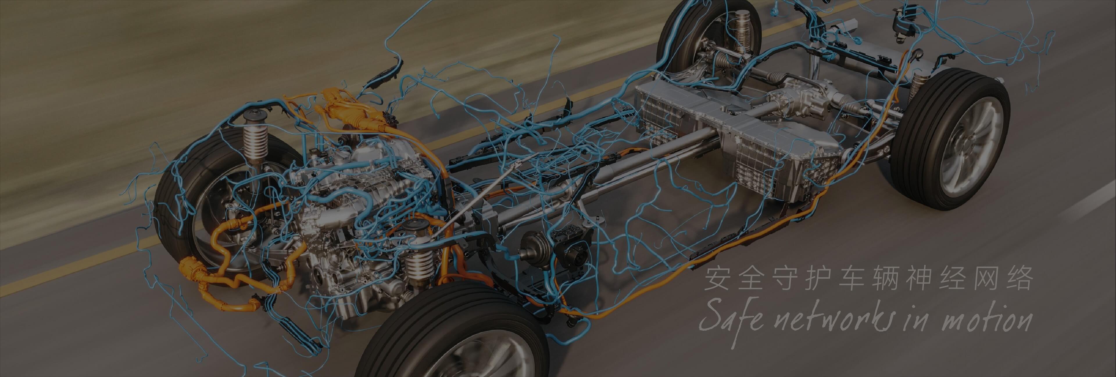 Langoflex PET-D 闭口编织管