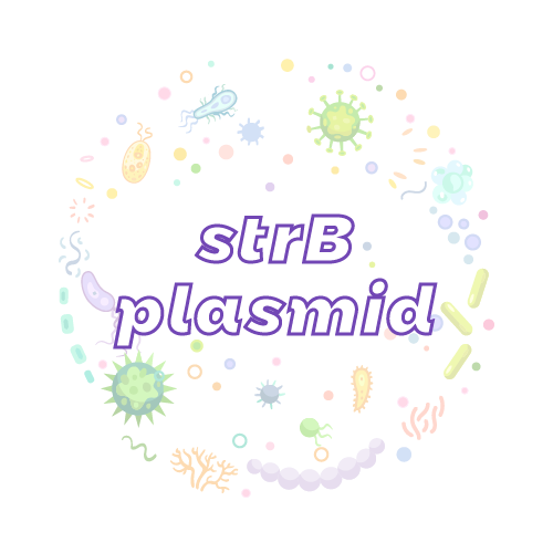 抗性基因 strB 质粒标准品-启因生物